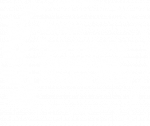 ZingHR HCM India - ZingHR HCM Solution